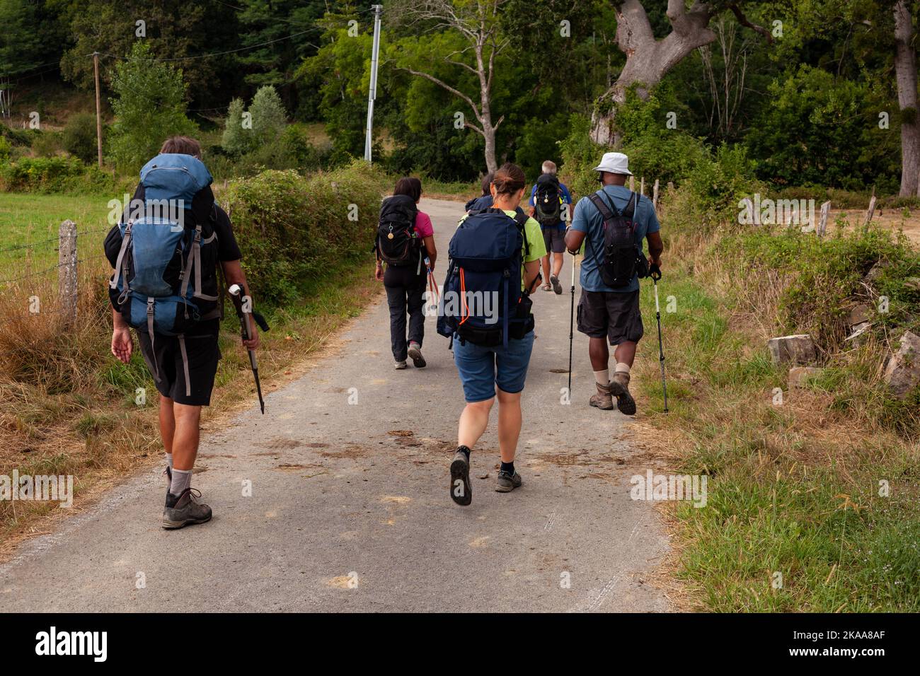 Group of Pilgrims walking on the path of Way of St James, The french ...
