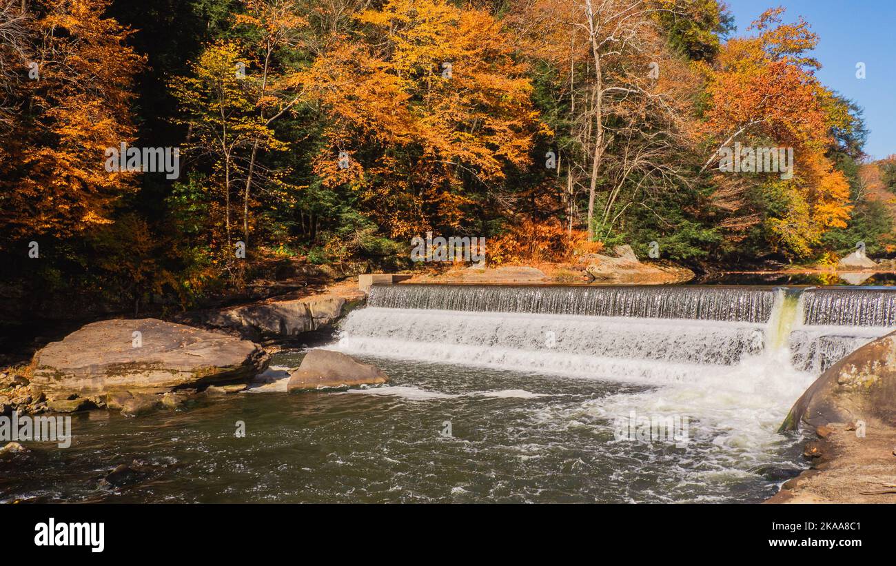 beautiful waterfall in autumn forest Stock Photo - Alamy