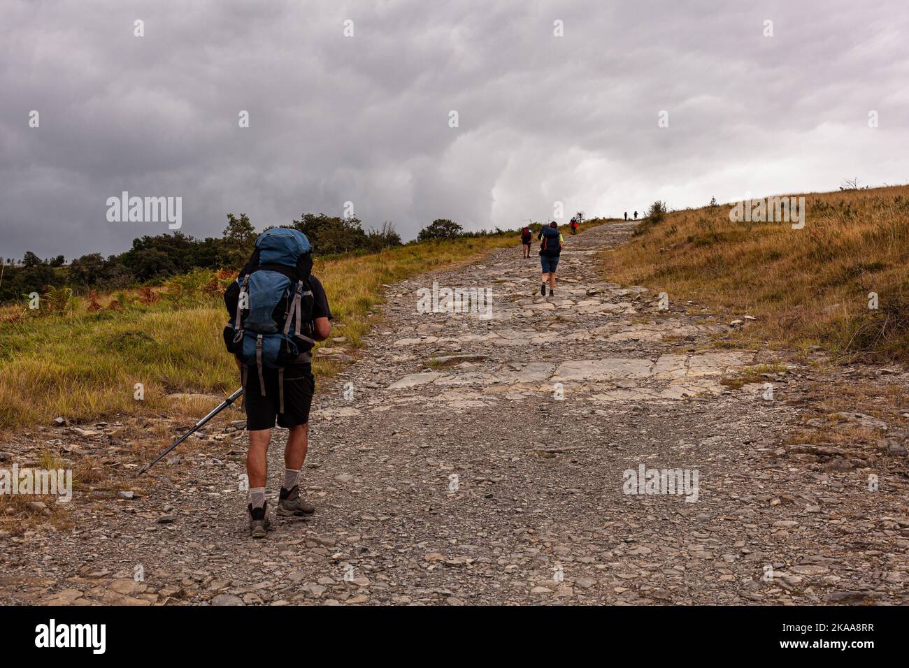 Group of Pilgrims walking on the path of Way of St James, The french ...