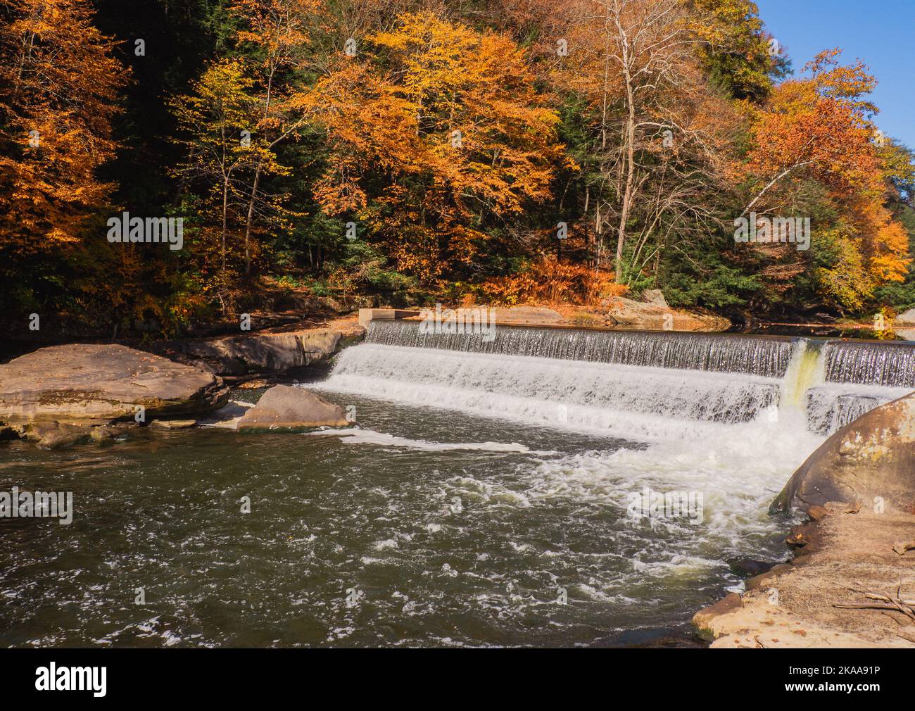 beautiful waterfall in autumn forest Stock Photo - Alamy