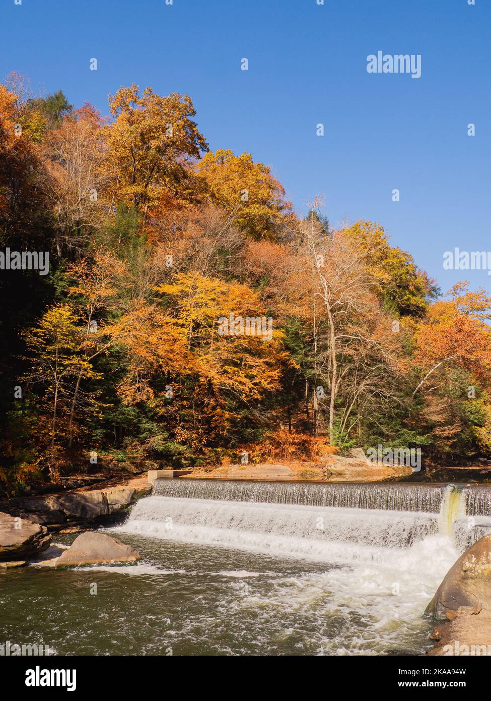 beautiful waterfall in autumn forest Stock Photo - Alamy