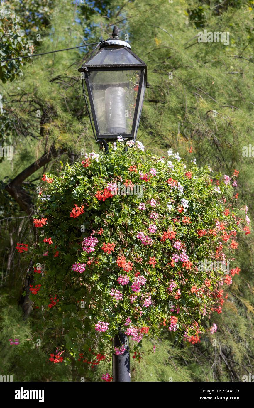 Hanging basket of flowers on a lamp post, Šetalište uz Mlinove ...