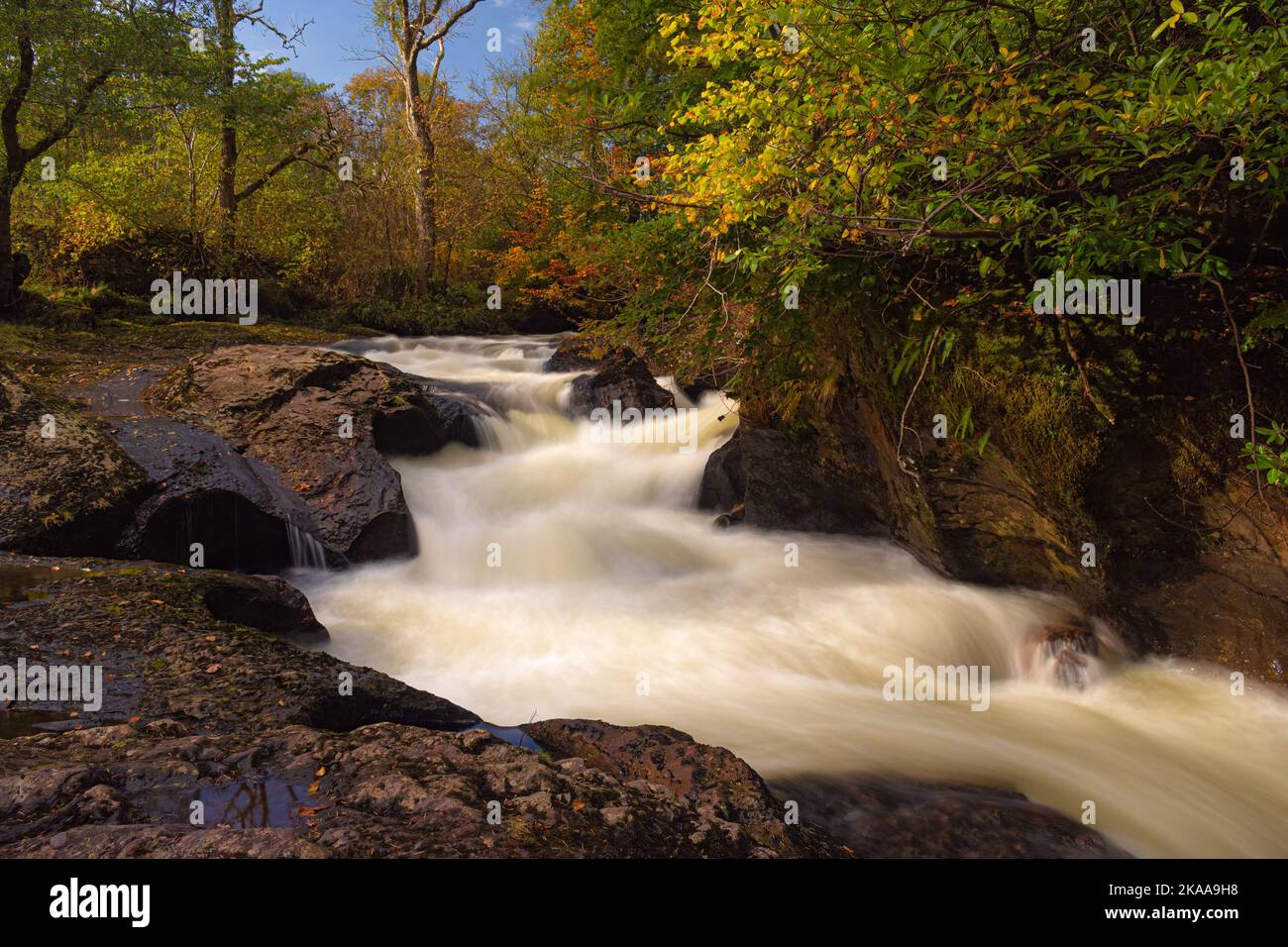 Buchanty Spout, River Almond, Perthshire, Scotland. One of the best ...