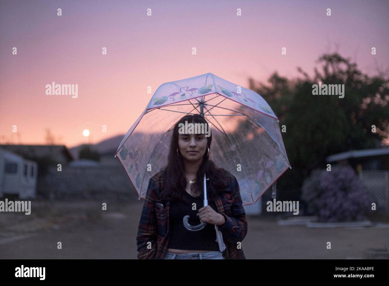 THE OTHER TOM, (aka EL OTRO TOM), Julia Chavez, 2021. © Outsider ...