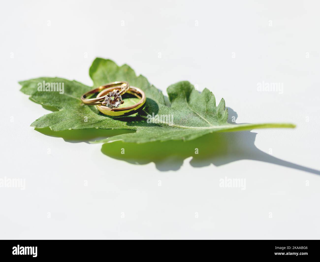 Pair of wedding and engagement rings with diamond on green leaf. Symbol ...