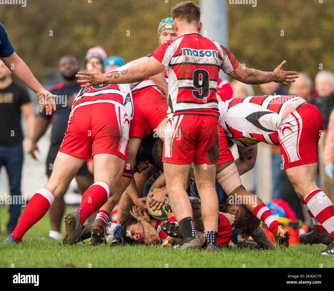 English amateur Rugby Union players playing in a league game Stock ...