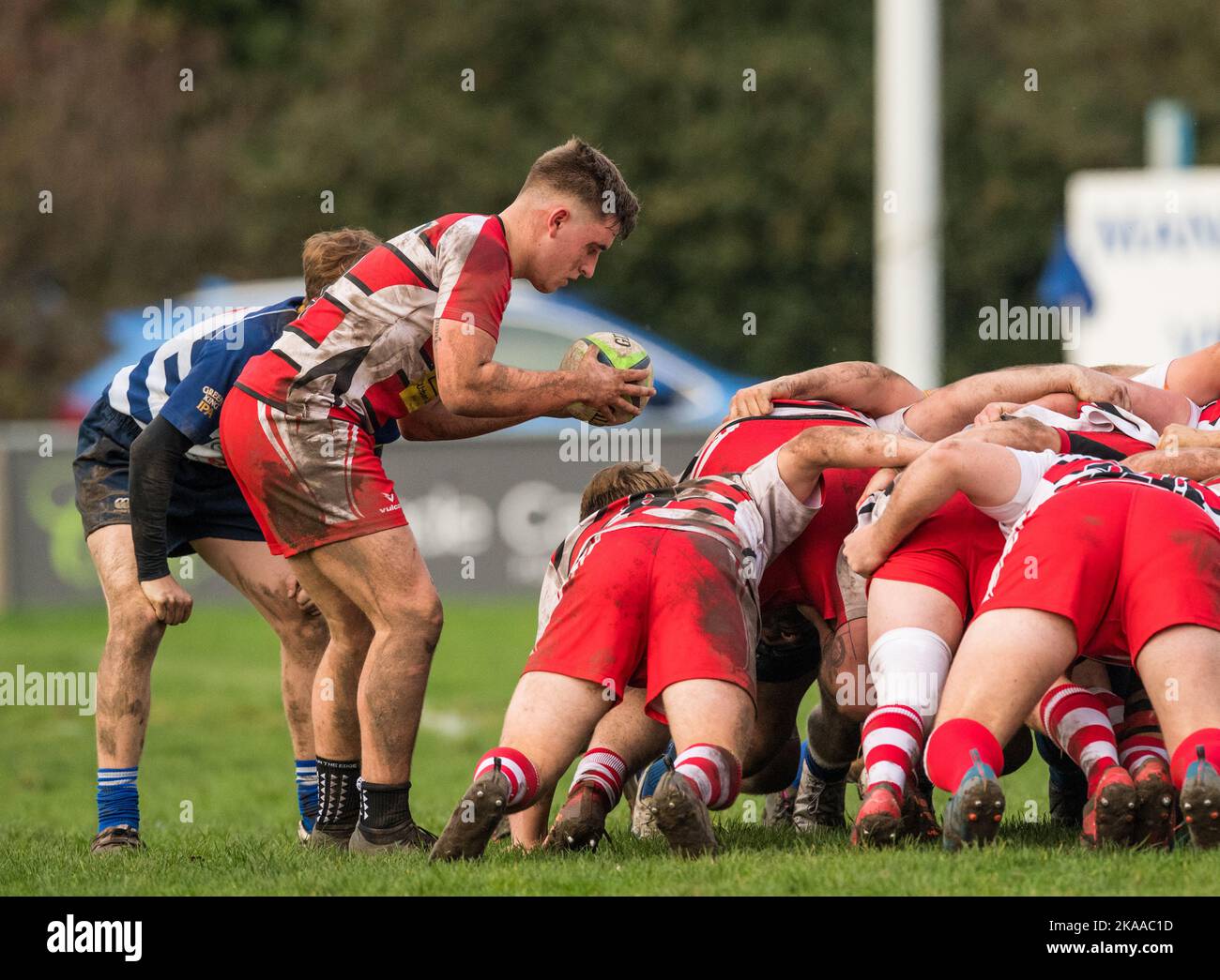 Nottingham rugby club hi-res stock photography and images - Alamy