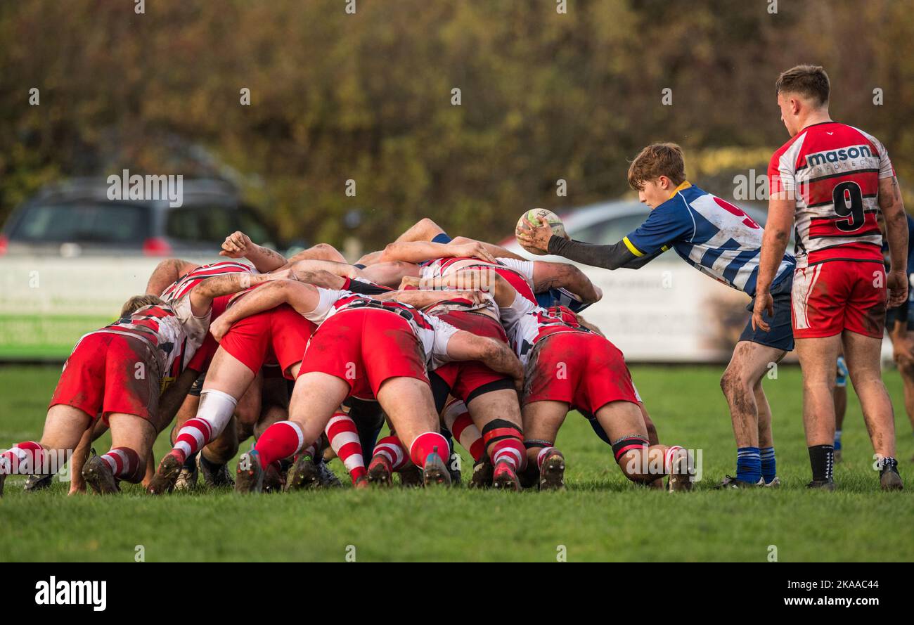 English amateur Rugby Union players playing in a league game Stock ...
