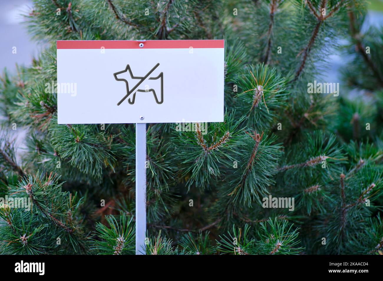 Dog walking regulation sign hi-res stock photography and images - Alamy