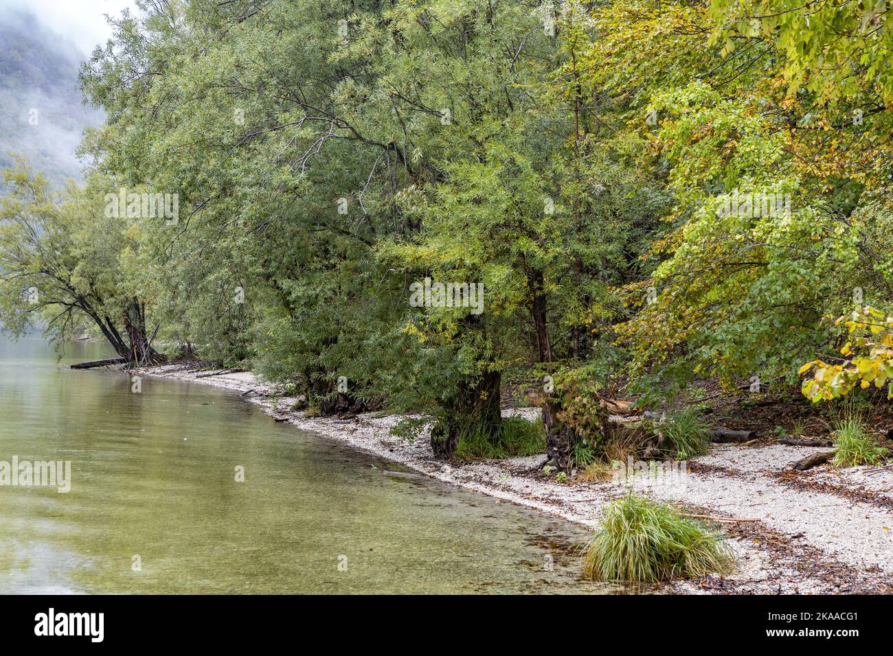 Rainy day, Glacial Lake Bohinj, Triglav National Park, Bohinj Valley ...