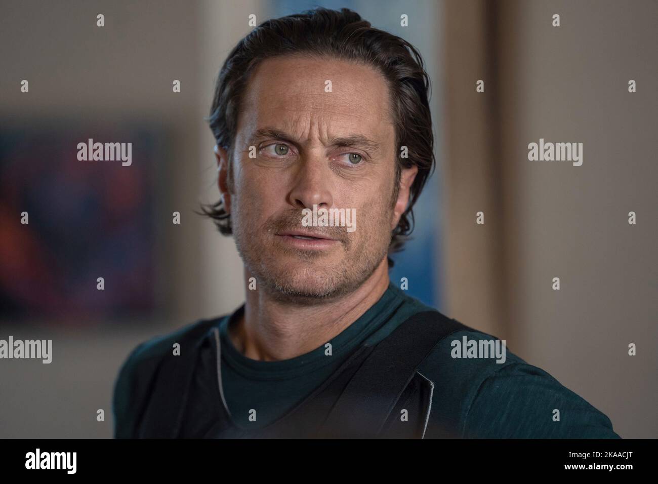 THE CLEANING LADY, Oliver Hudson, Oasis', (Season 2, ep. 206, aired Oct ...