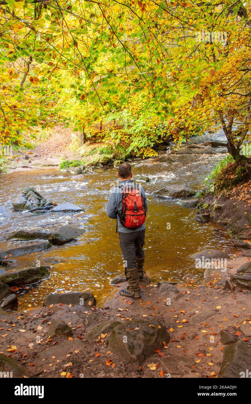 Man standing on the banks of the river Dane while walking the Dane ...