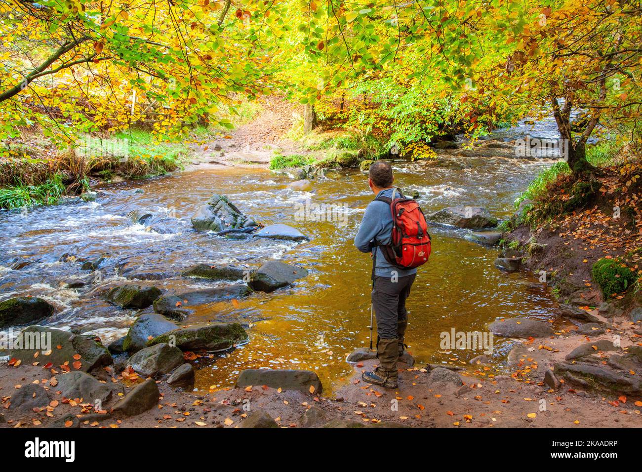 Man standing on the banks of the river Dane while walking the Dane ...