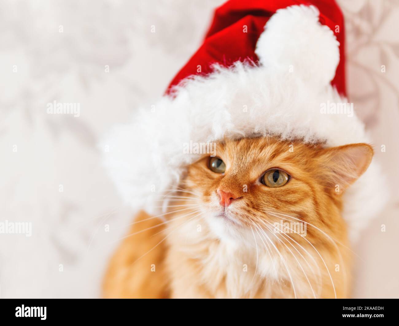 Cute santa face hi-res stock photography and images - Alamy