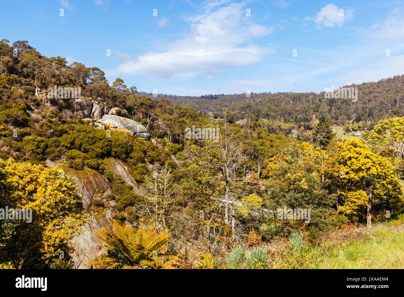 DERBY, AUSTRALIA - SEPTEMBER 23, 2022: Aboriginal fish painting on rock ...