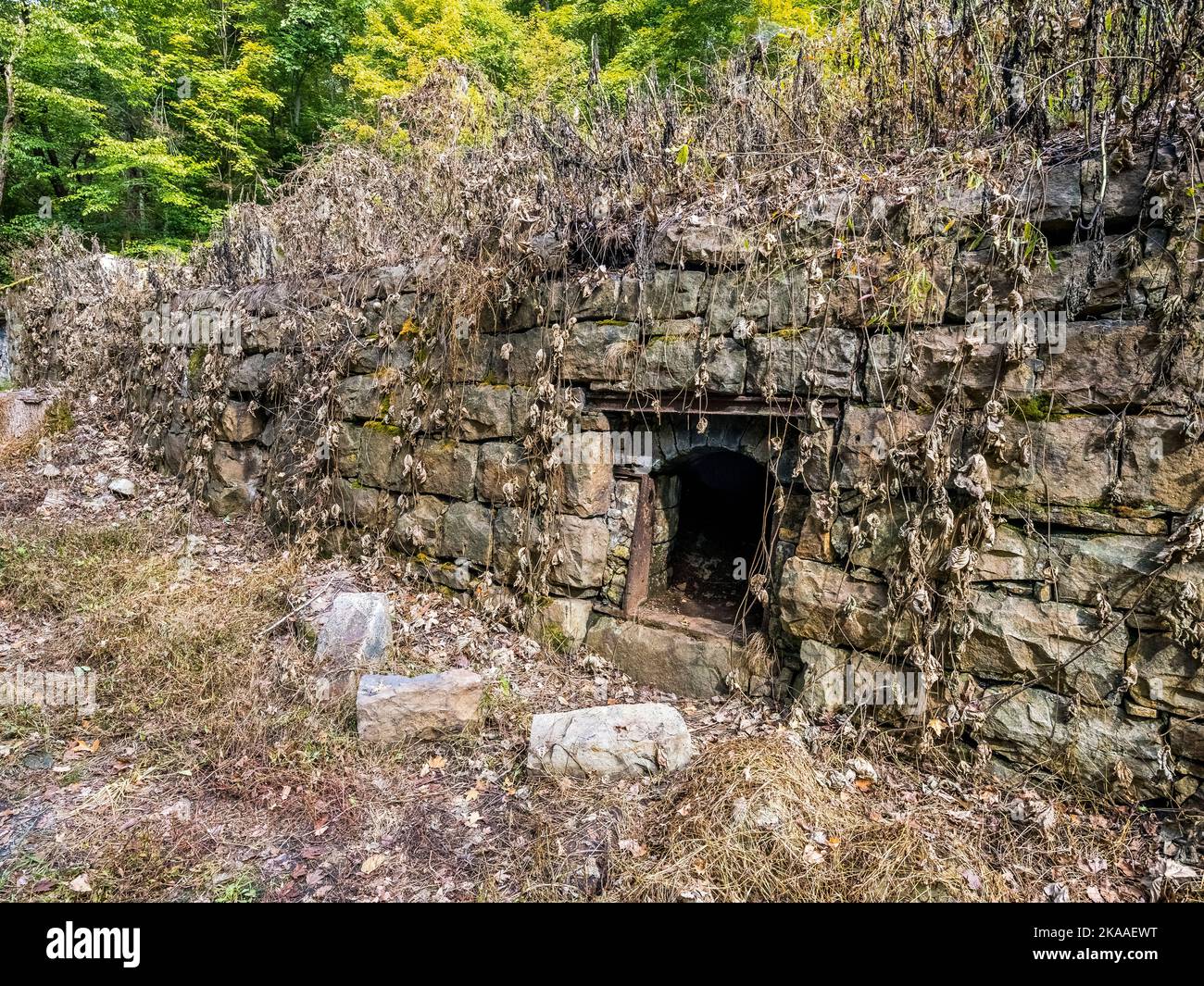 Coke Ovens in Historic Nuttallburg coal processing area in the New ...