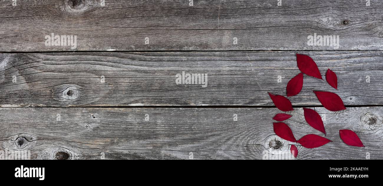 Red tear shaped leaf hi-res stock photography and images - Alamy