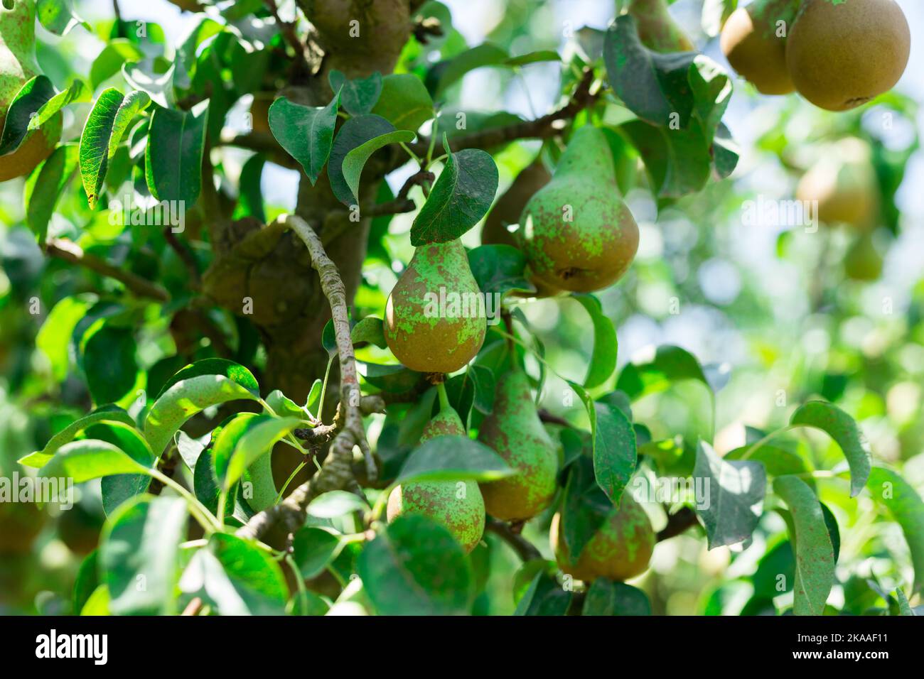 Fall conference hi-res stock photography and images - Alamy