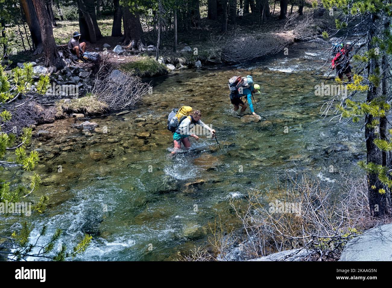 Hikers crossing Evolution Creek, Kings Canyon National Park, Pacific Crest Trail, USA Stock ...