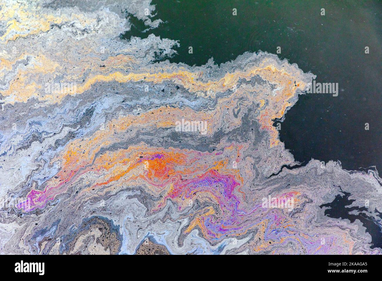 Pollutants mix with seaweed in harbor water; Kodiak; Alaska; USA Stock ...