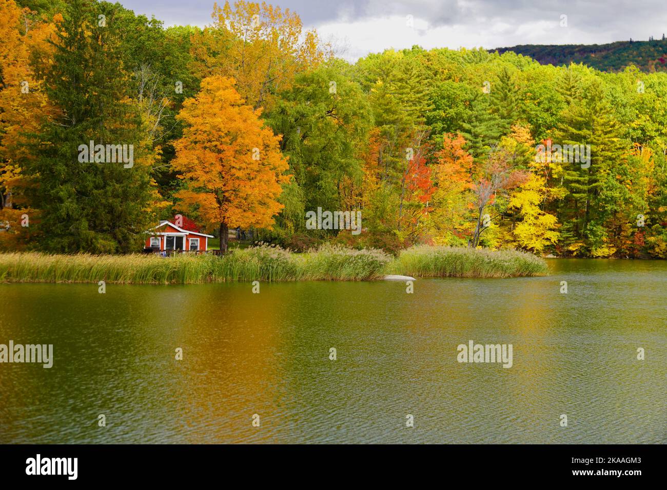Fall foliage color lakeside hi-res stock photography and images - Alamy