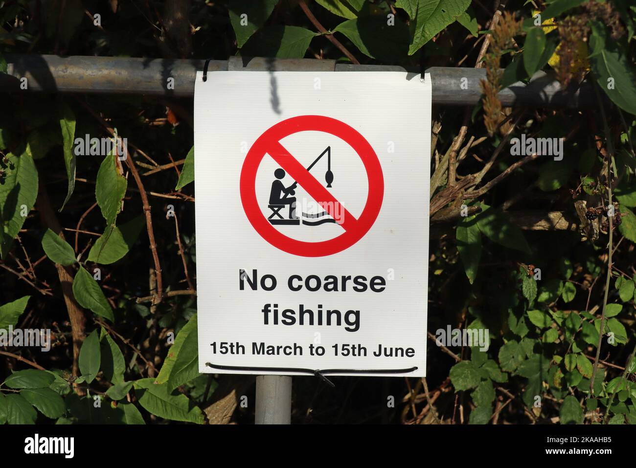 Fishing permit sign hi-res stock photography and images - Alamy