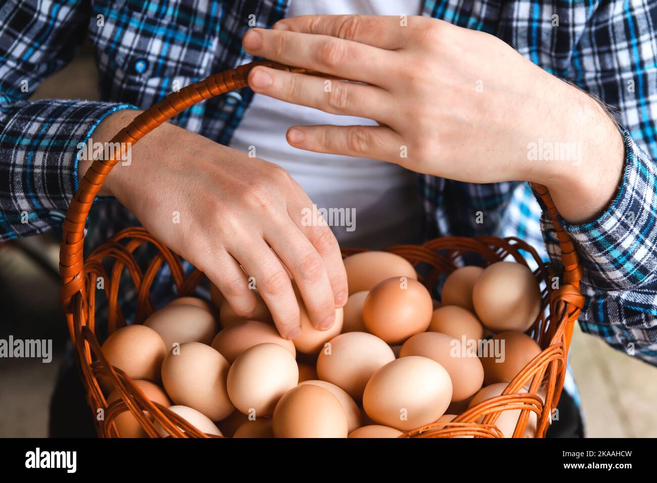 Defocus man hand holding wire basket of fresh chicken eggs. Closeup ...