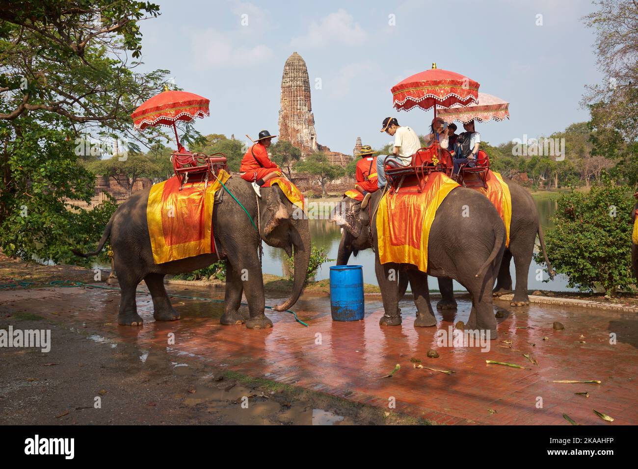 Elephant back ride hi-res stock photography and images - Alamy