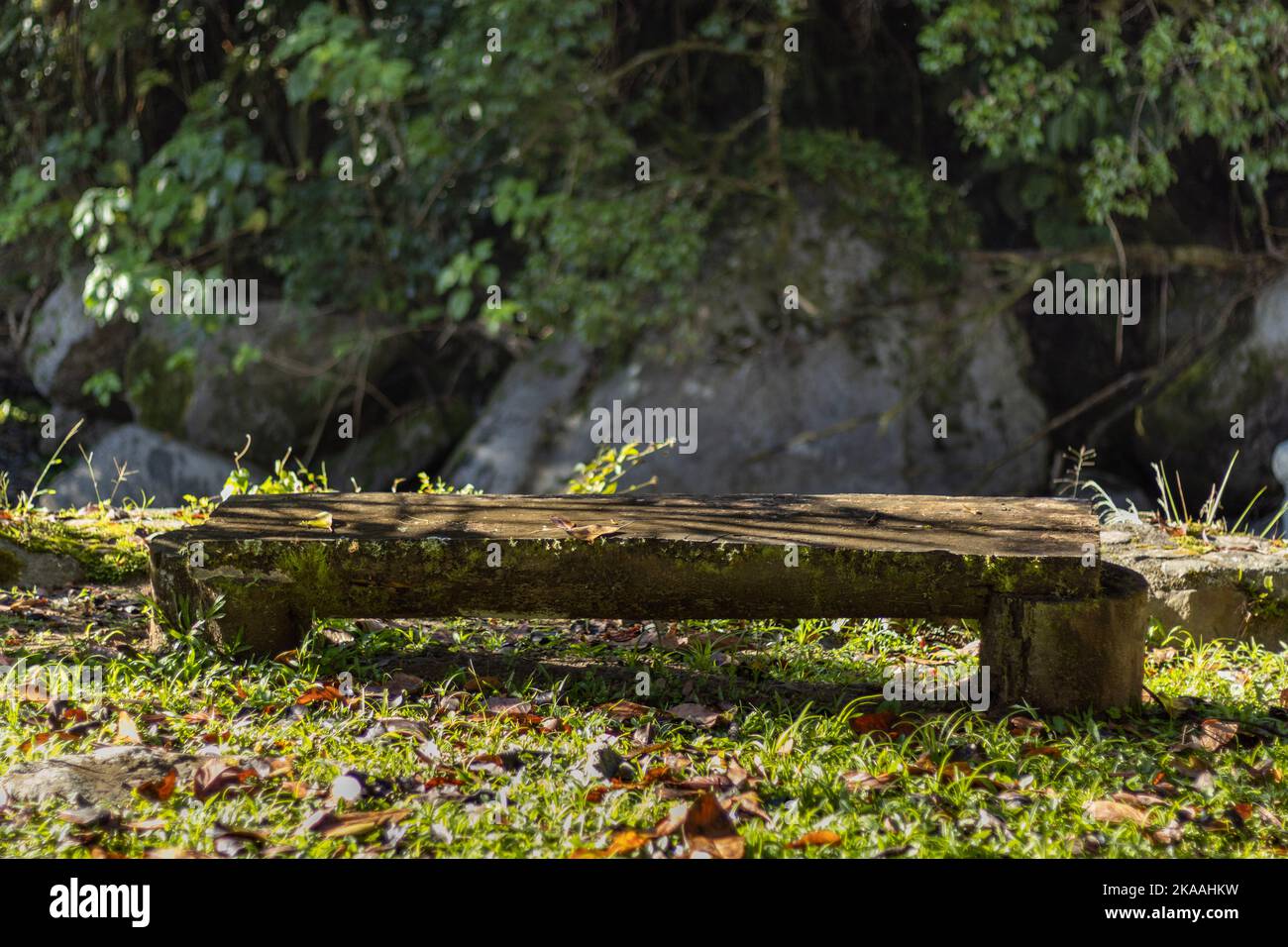 Handmade wooden bench in the forest Stock Photo - Alamy
