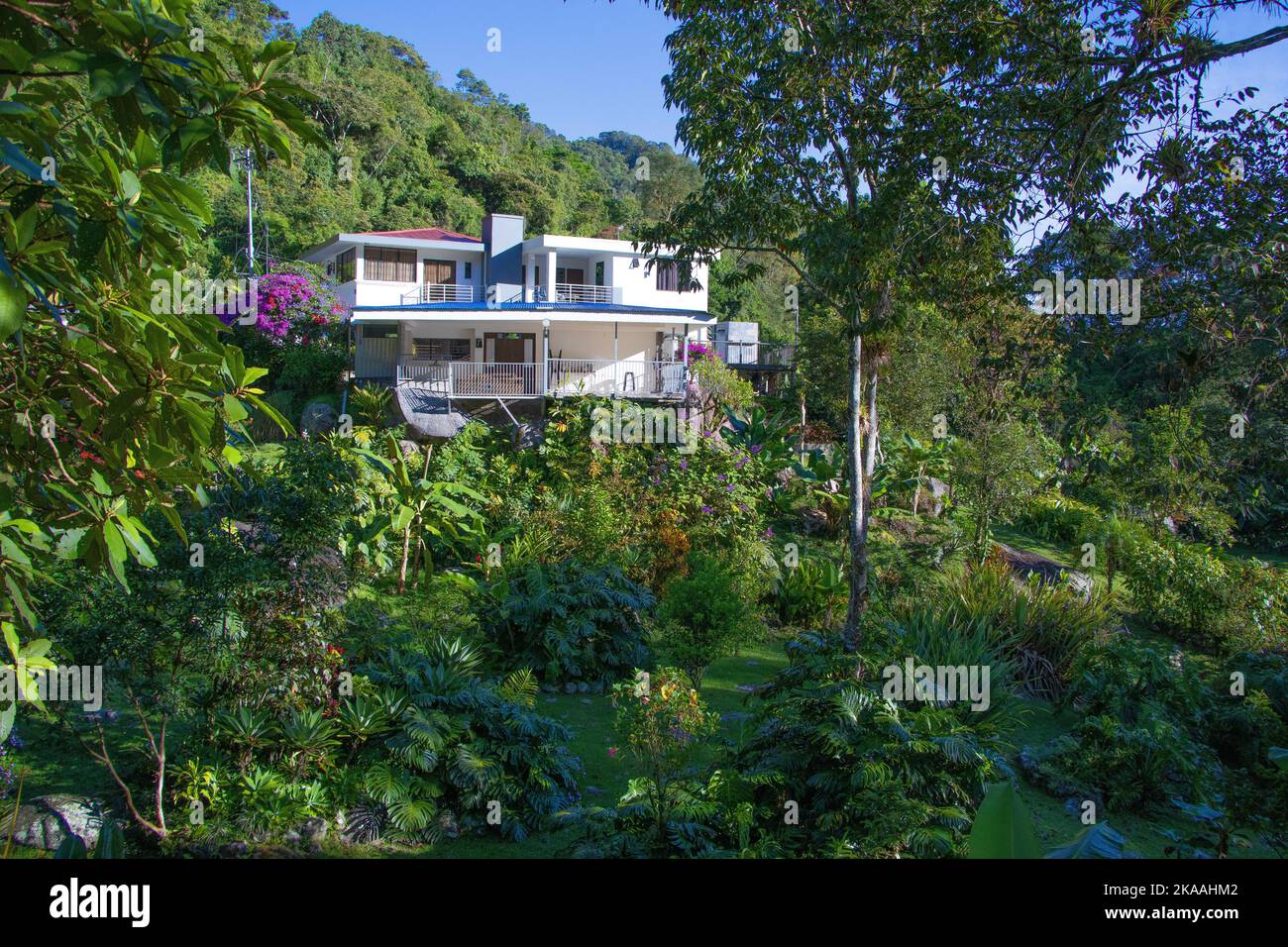 Beautiful and fine house in the forest Stock Photo - Alamy