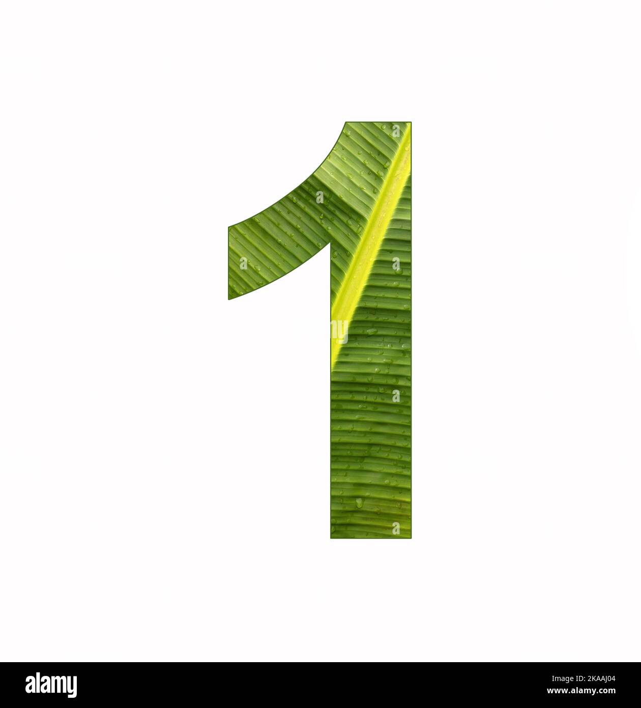 Number 1 - Digit one on banana plant leaf background Stock Photo - Alamy