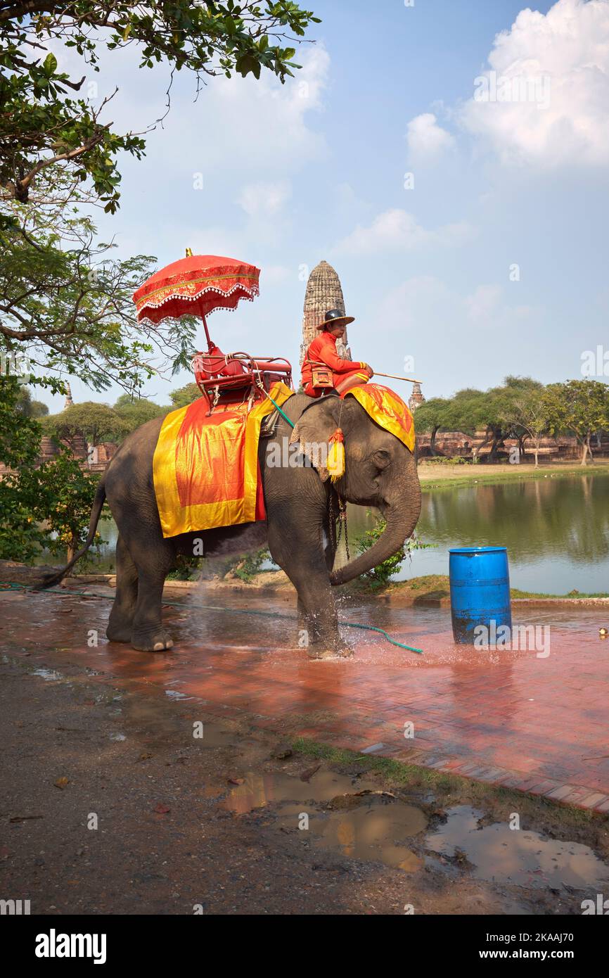 Elephant Rides in Ayutthaya Thailand Stock Photo - Alamy
