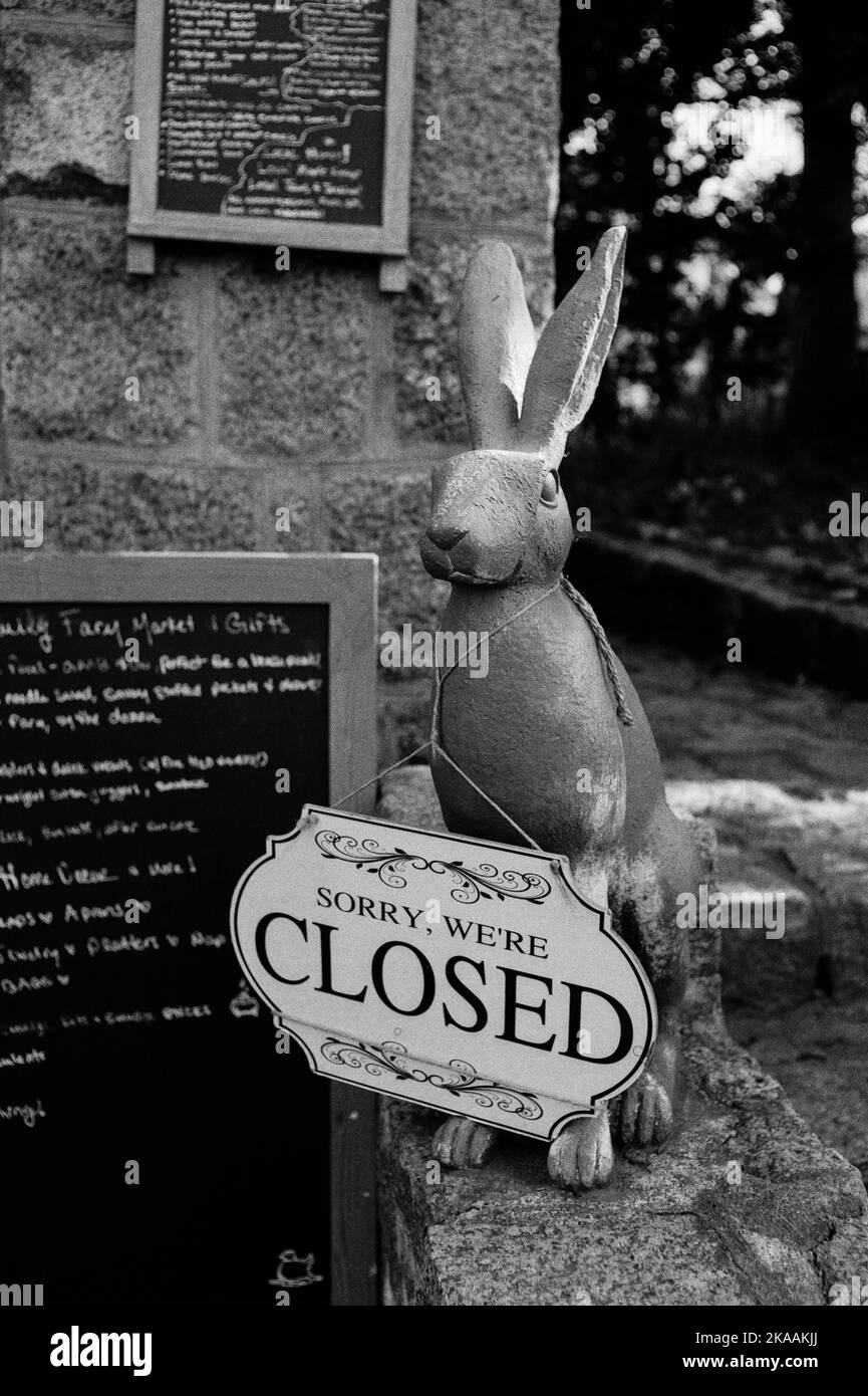 Captured rabbit Black and White Stock Photos & Images - Alamy