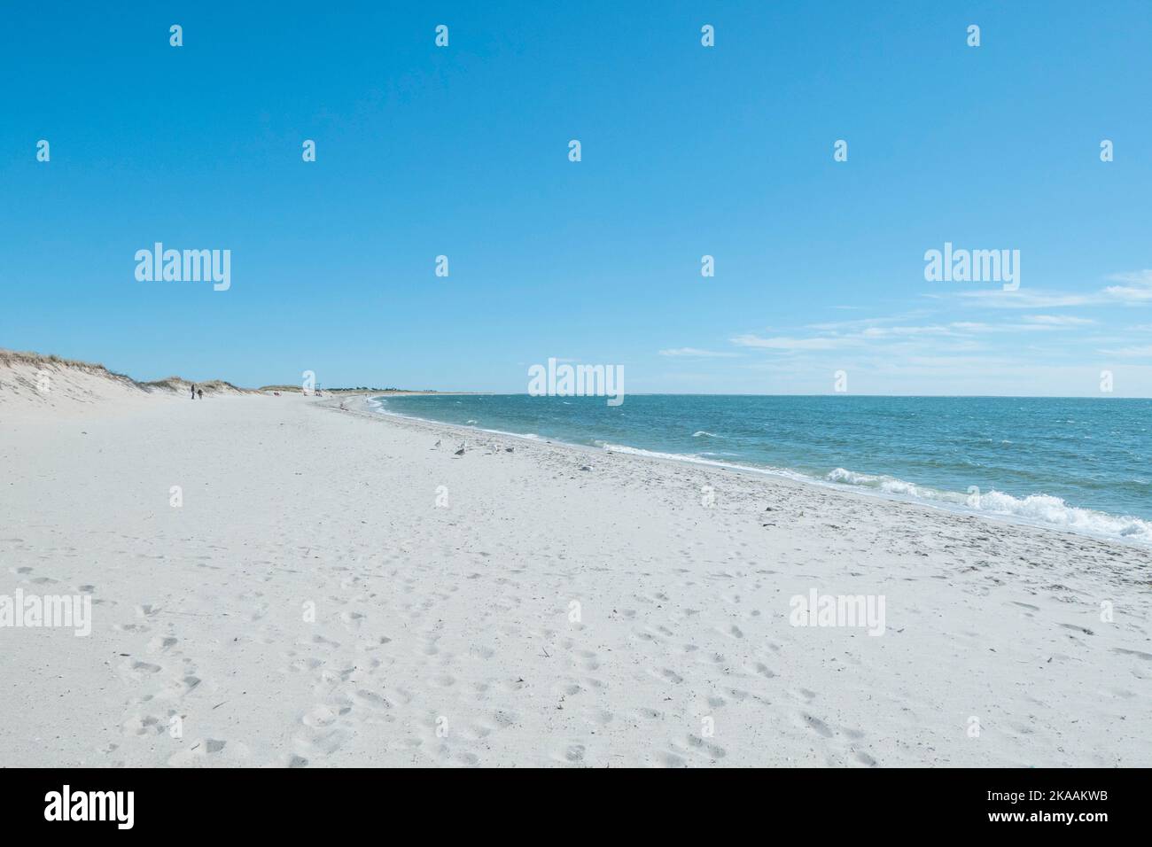 Hardings Beach in Chatham Cape Cod Massachusetts USA Stock Photo - Alamy