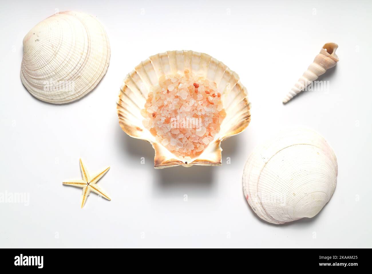 Himalayan salt in a seashell. Isolated on white background Stock Photo ...