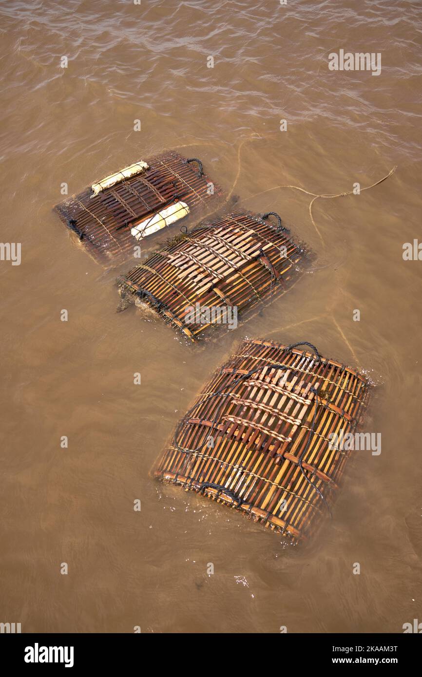Crab Fishing with traditional bamboo pots in the fishing village of Kep ...
