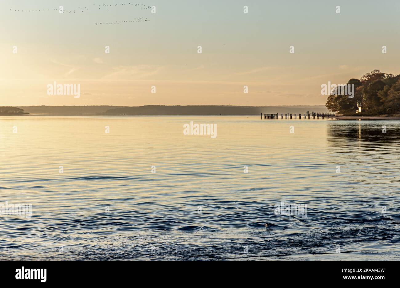 Flock of birds flying over a fall day landscape Stock Photo - Alamy