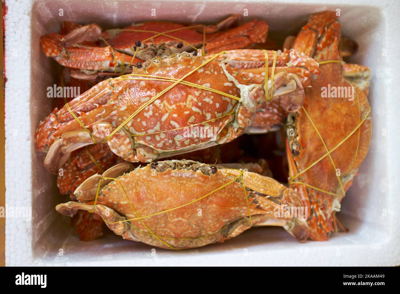 Crab Market at Kep Cambodia Stock Photo - Alamy