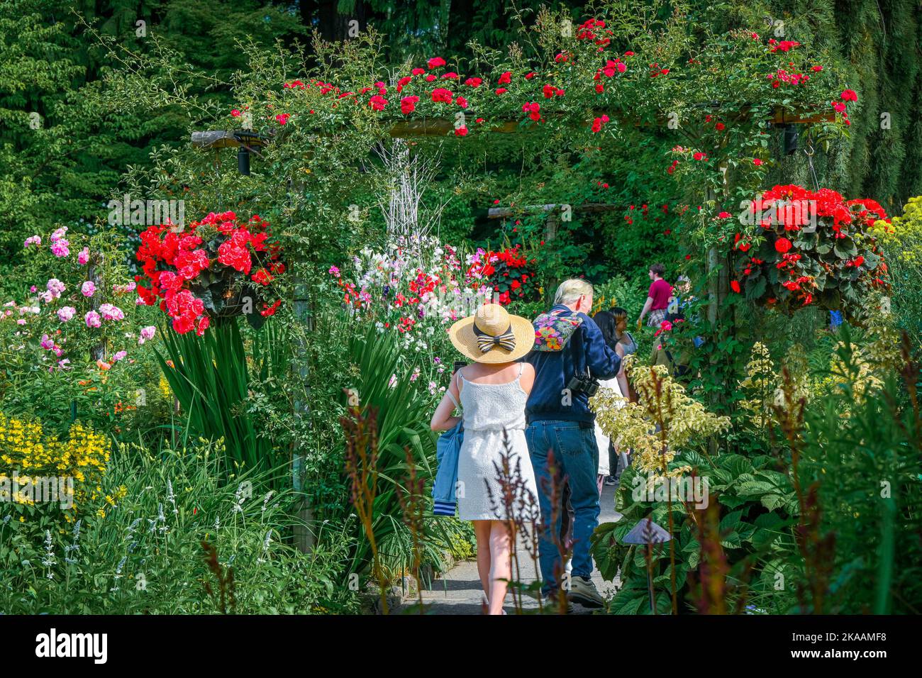 Rose Garden, Butchart Gardens, Brentwood Bay, Greater Victoria, British ...