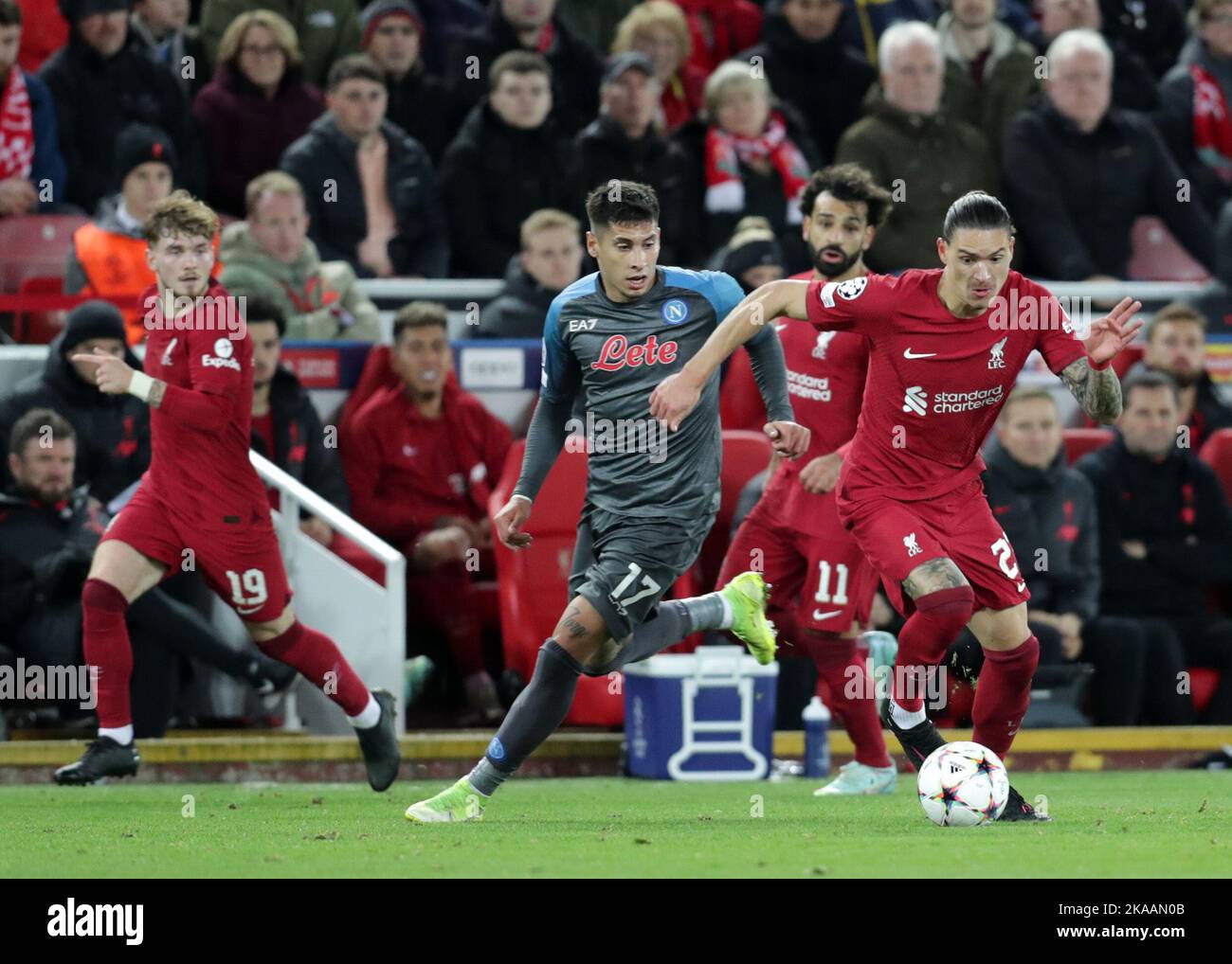 Anfield Stadium, Liverpool, England: 1st November 2022, Champions ...