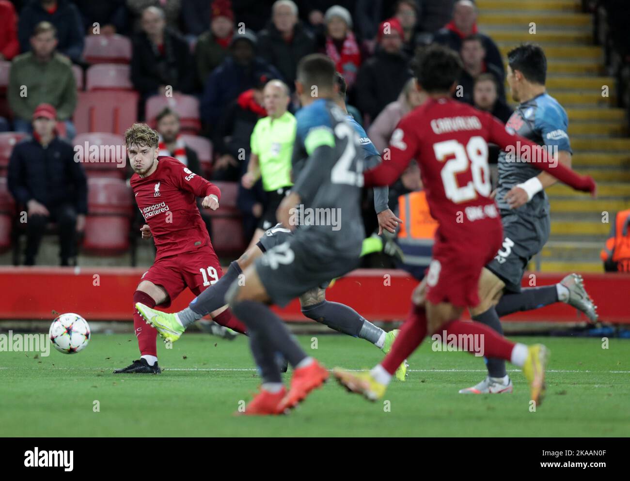 Anfield Stadium, Liverpool, England: 1st November 2022, Champions ...