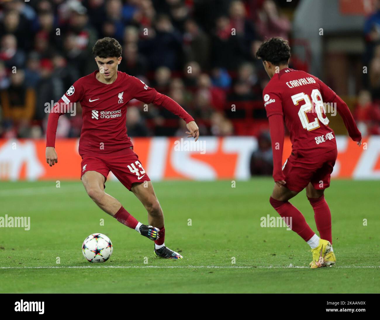 Anfield Stadium, Liverpool, England: 1st November 2022, Champions ...