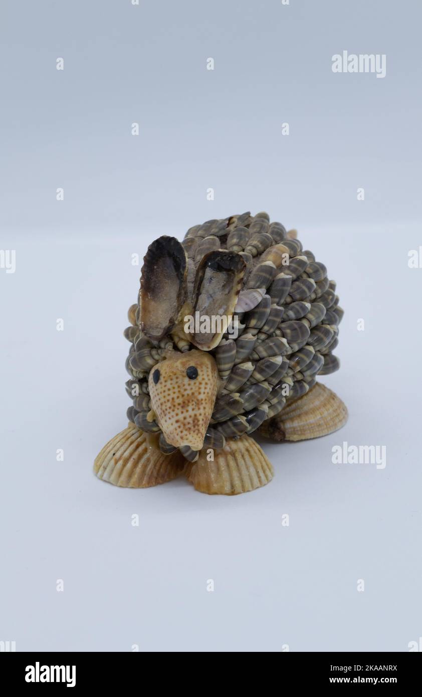 Handmade crafts with sea shells from Costa Rica Stock Photo - Alamy