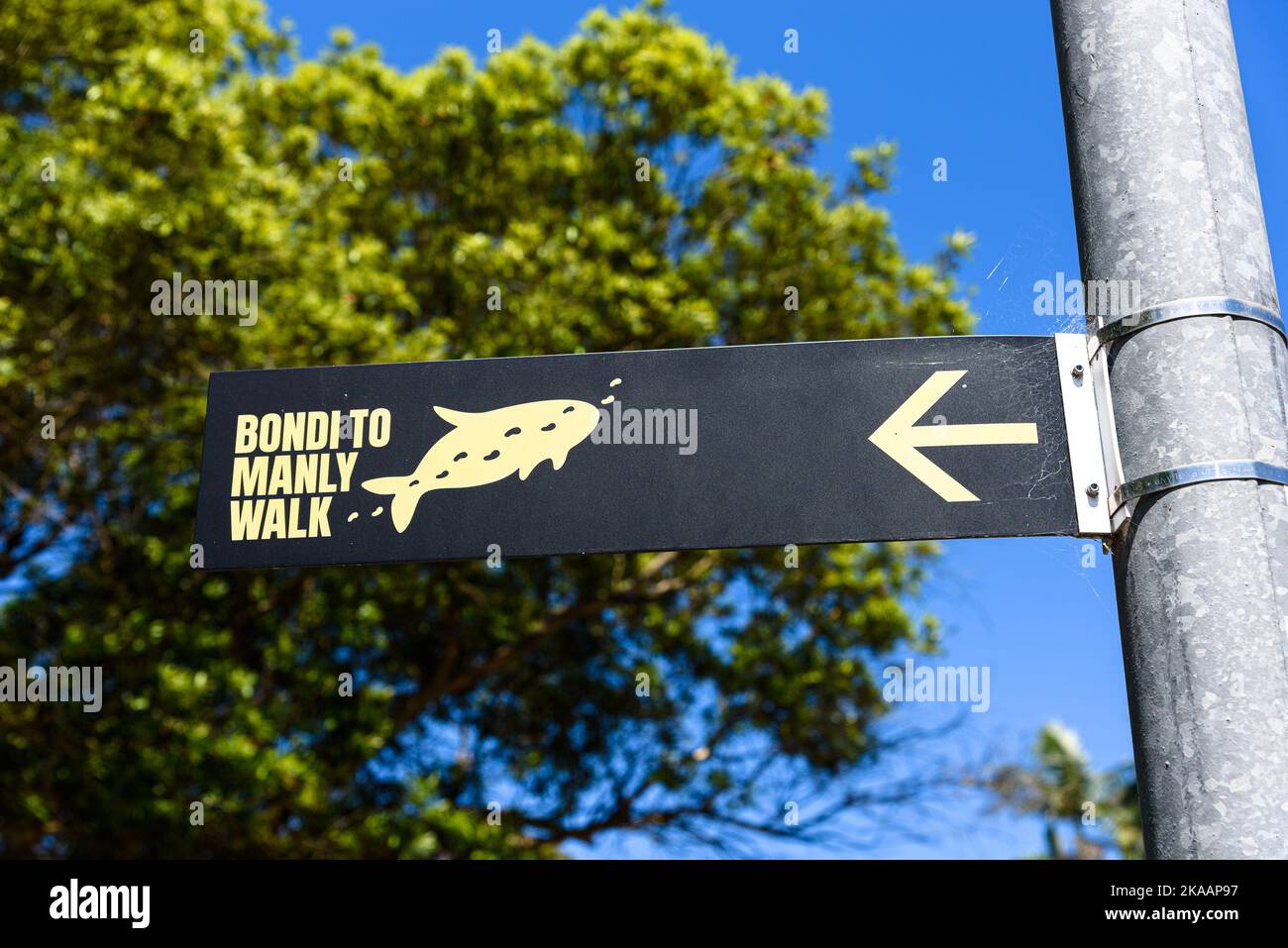 Bondi to manly walk hi-res stock photography and images - Alamy