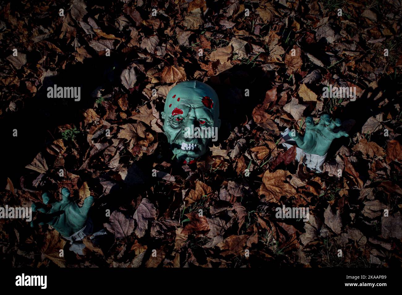 Creepy zombie crawling out of the grave Stock Photo - Alamy