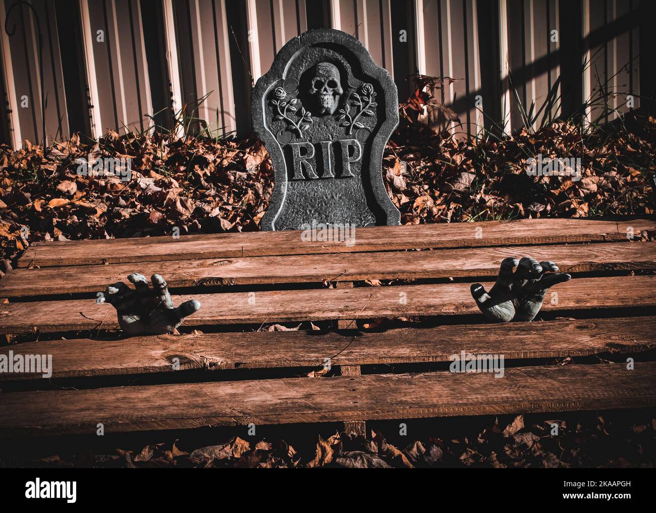 Creepy zombie hi-res stock photography and images - Alamy