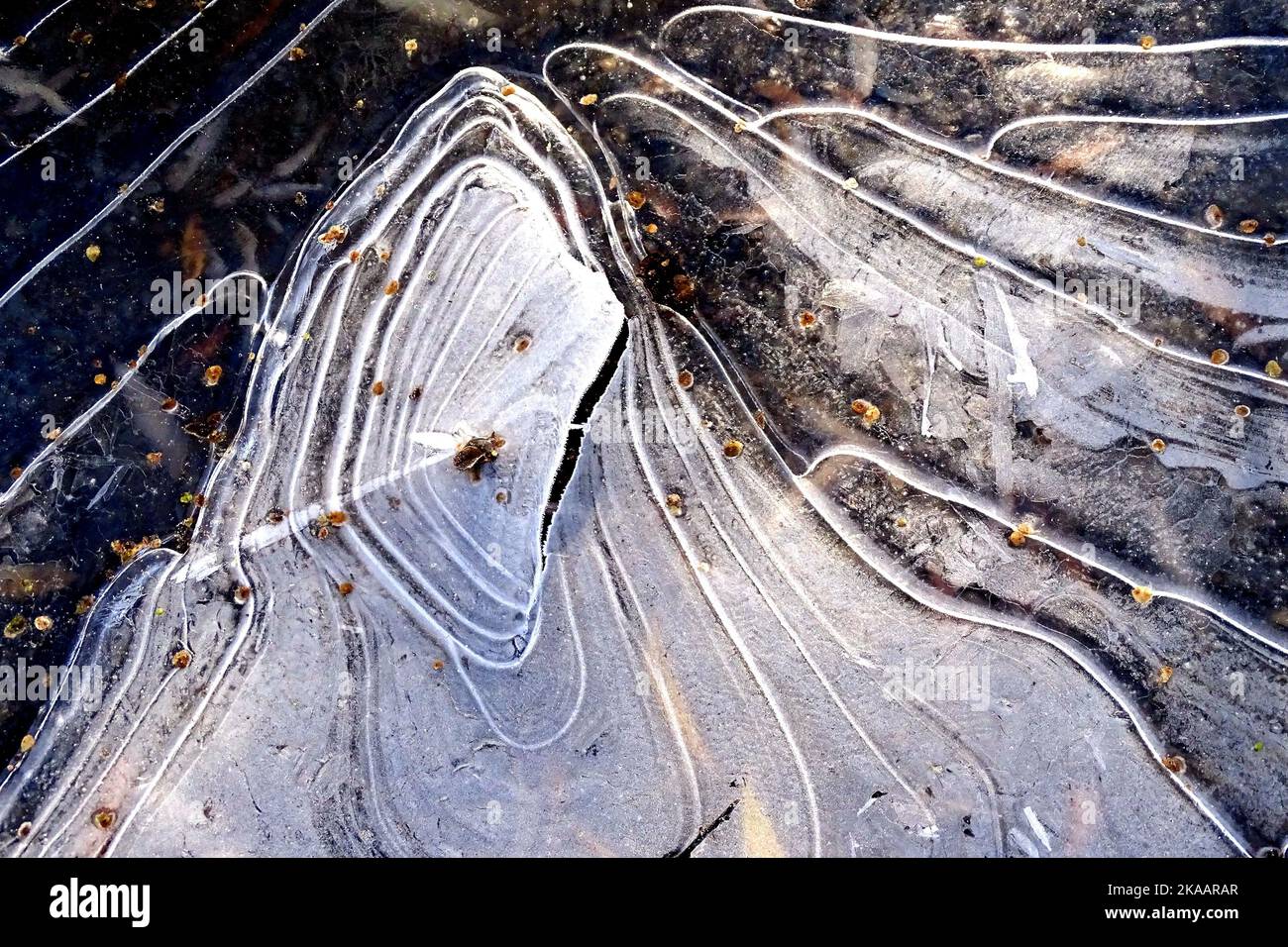 Aerial photos show different shapes of ice covered the Songhua River ...