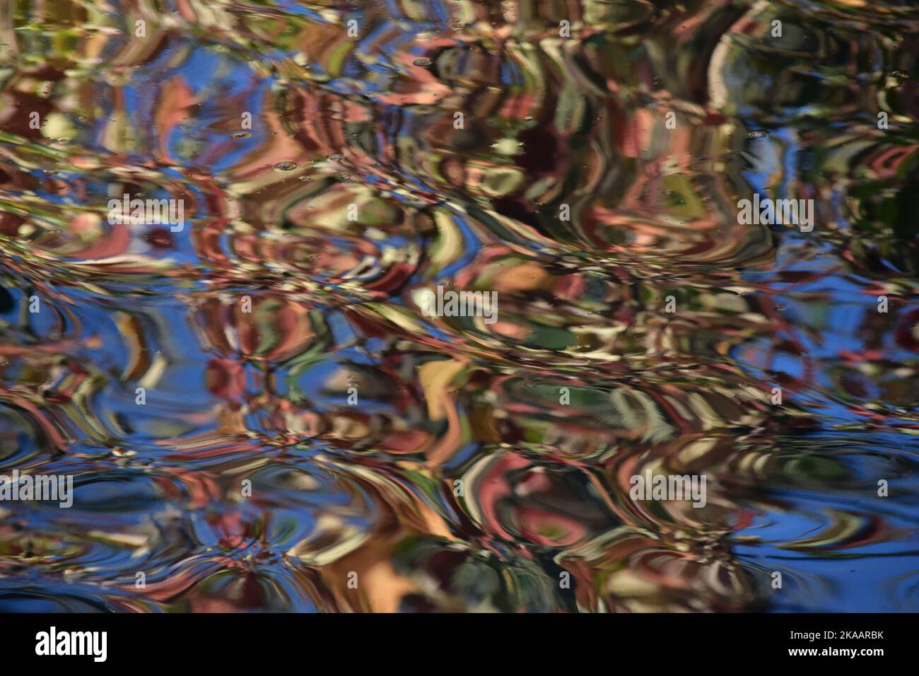 Fall colors on pond hi-res stock photography and images - Alamy