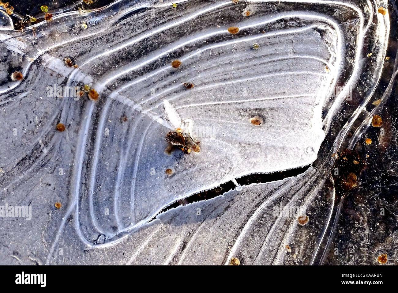 Aerial photos show different shapes of ice covered the Songhua River ...