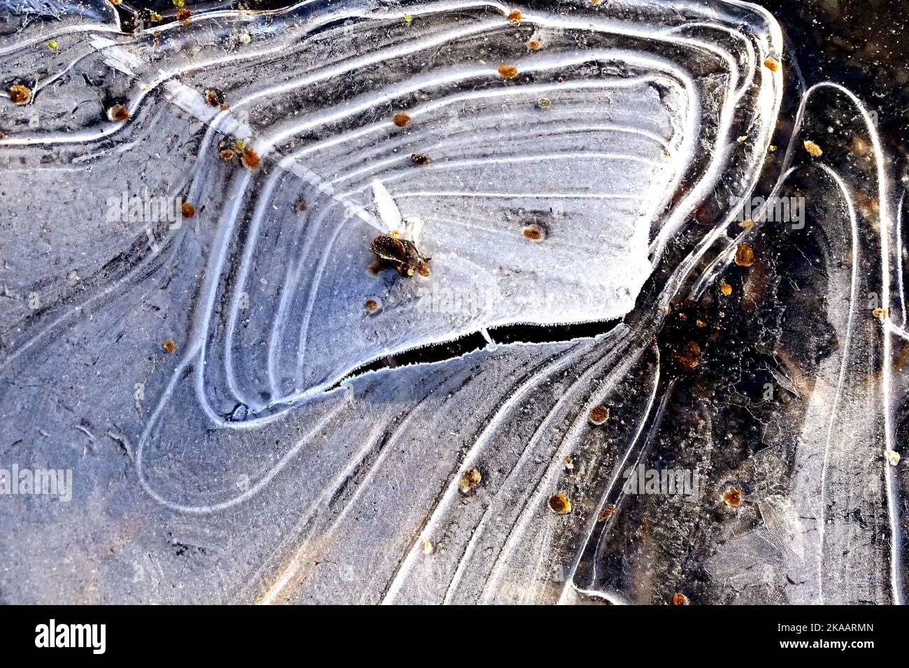Aerial photos show different shapes of ice covered the Songhua River ...